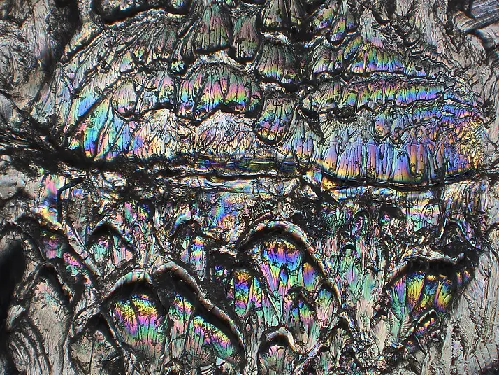 Polarized Microscope คืออะไร และหลักการทำงาน